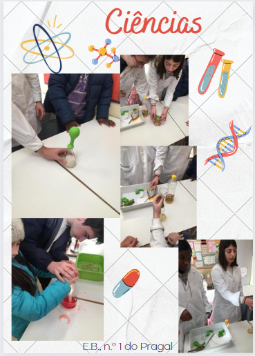 Projeto de Ciências Experimentais | Agrupamento de Escolas Anselmo de Andrade
