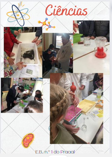 Projeto de Ciências Experimentais | Agrupamento de Escolas Anselmo de Andrade